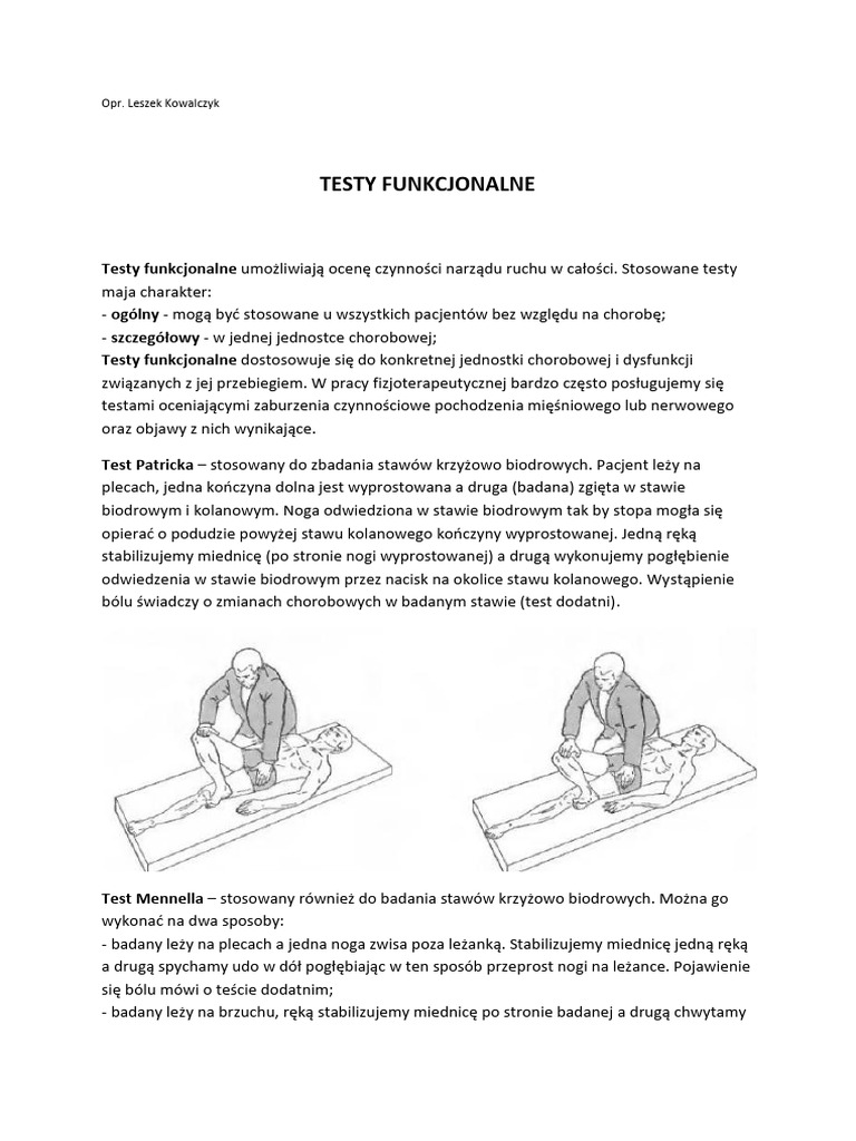 Testy Funkcjonalne | PDF