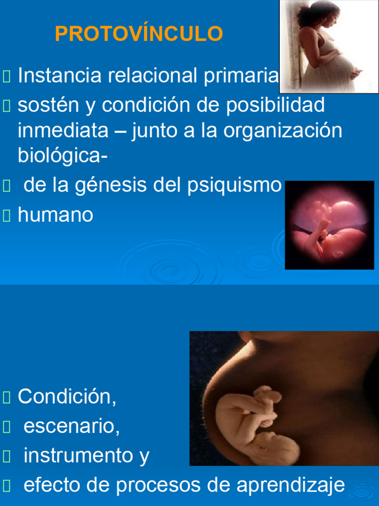 PROTOV NCULO Resumido | PDF | Psique (psicología) | Aprendizaje