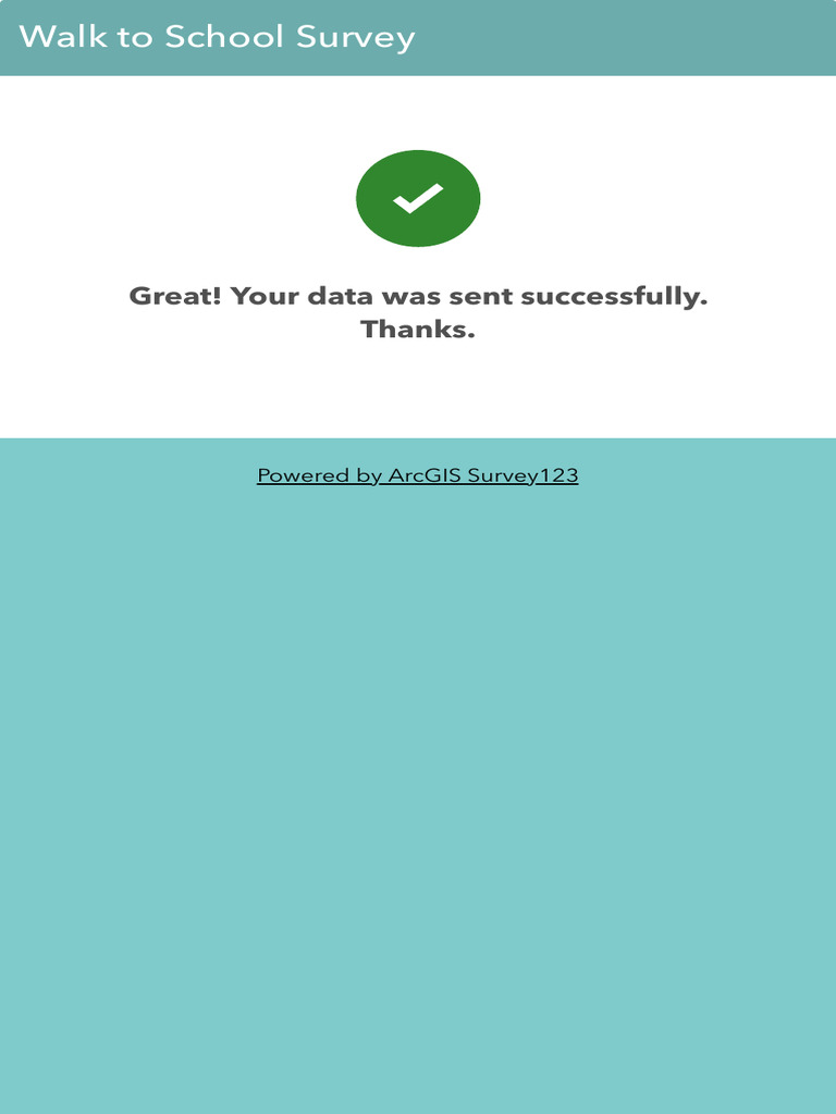 Traffic Safety Walk Survey | PDF