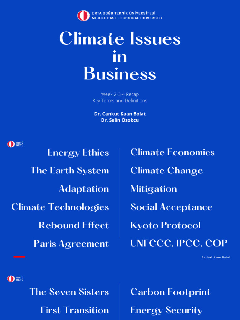 Climate Issues in Business - Week 5 | PDF | Hydrogen | Renewable Energy