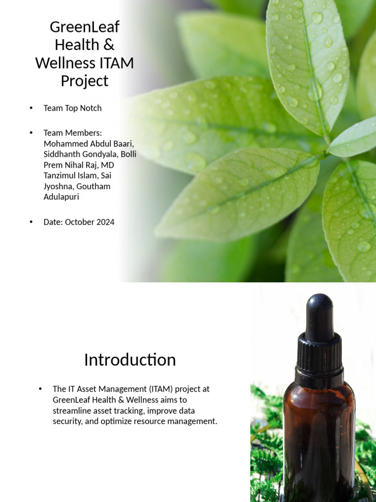 Group 6 Team Top Notch GreenLeaf - ITAM - Project - Final ...