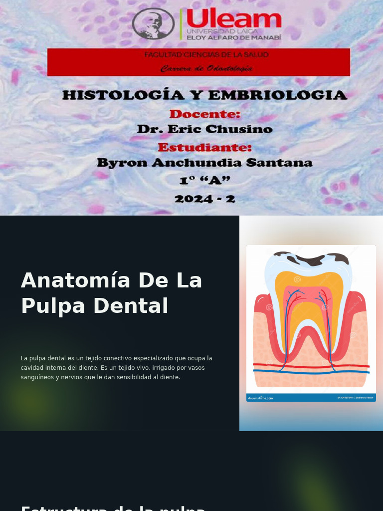 Anatomia de La Pulpa Dental | PDF | Dolor | Nervio