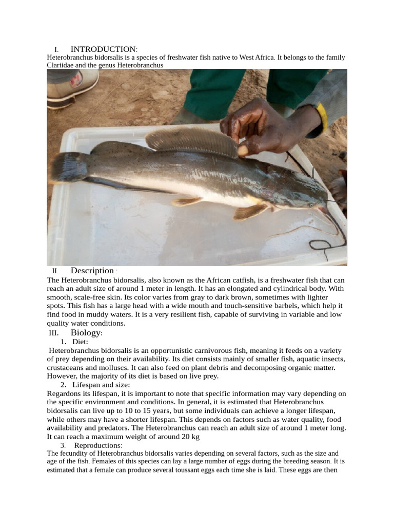 Document | PDF | Predation | Fish