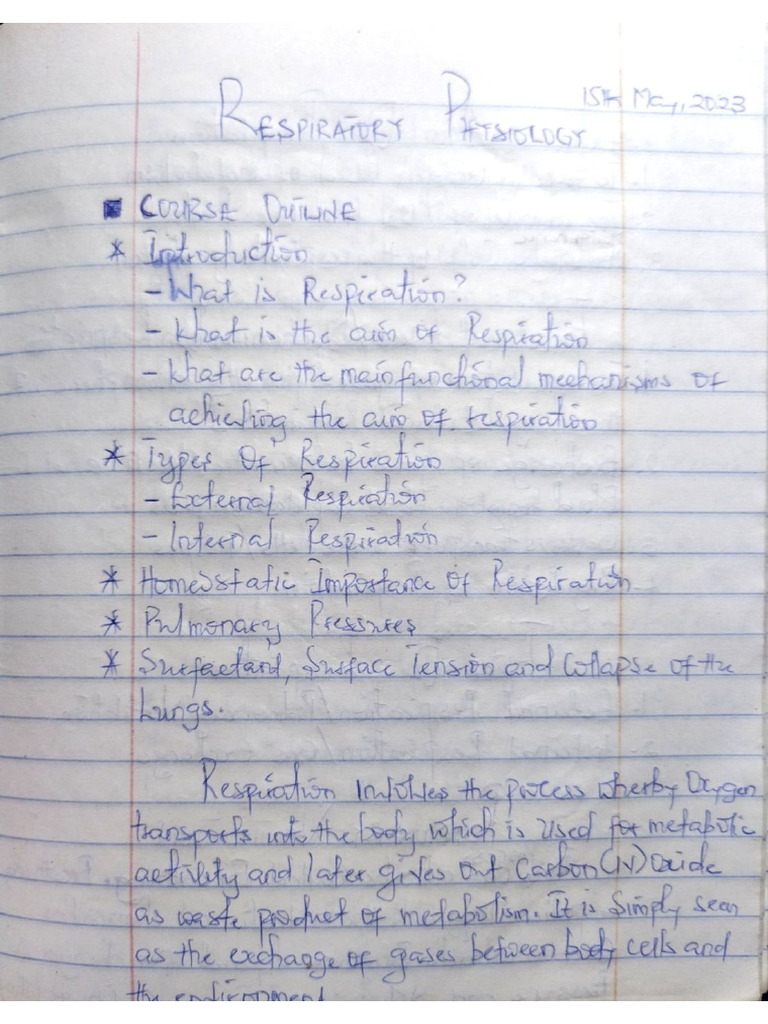 PHS 204 - Respiratory Physiology | PDF