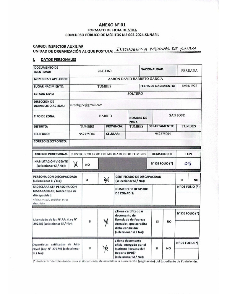 Anexos - Sunafil | PDF
