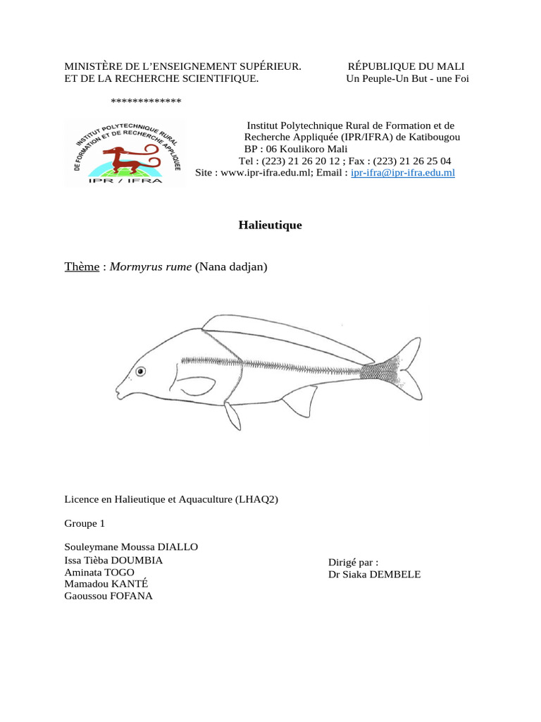 Anatomie du Mormyrus rume en Halieutique | PDF | Poisson | Branchie
