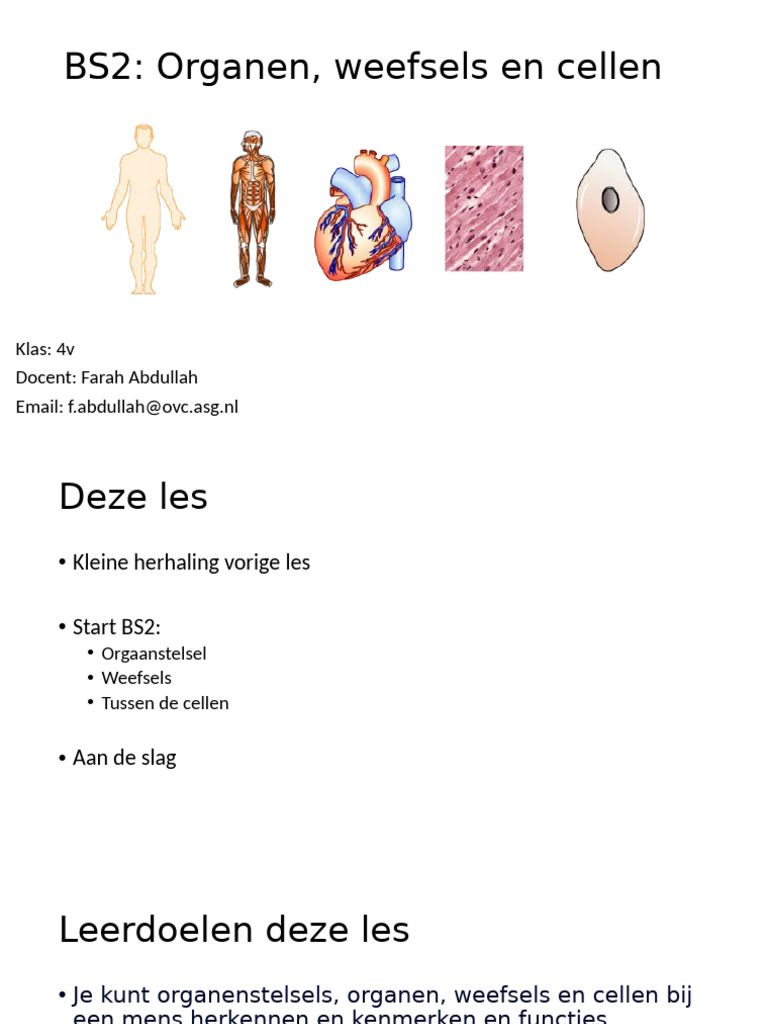 BS2 Orgaanstelsel Weefsels en Cellen | PDF
