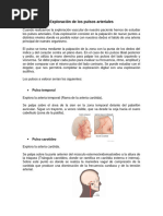 Exploración del Pulso Temporal | PDF