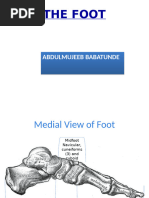 Posterior Tibial Tendon Insufficiency (PTTI) - Foot & Ankle ...