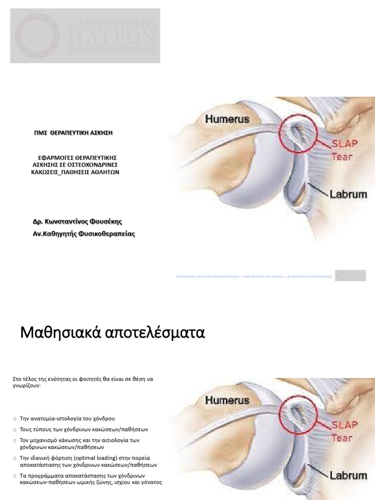 4. ΚΑΚΩΣΕΙΣ-ΠΑΘΗΣΕΙΣ ΧΟΝΔΡΟΥ | PDF