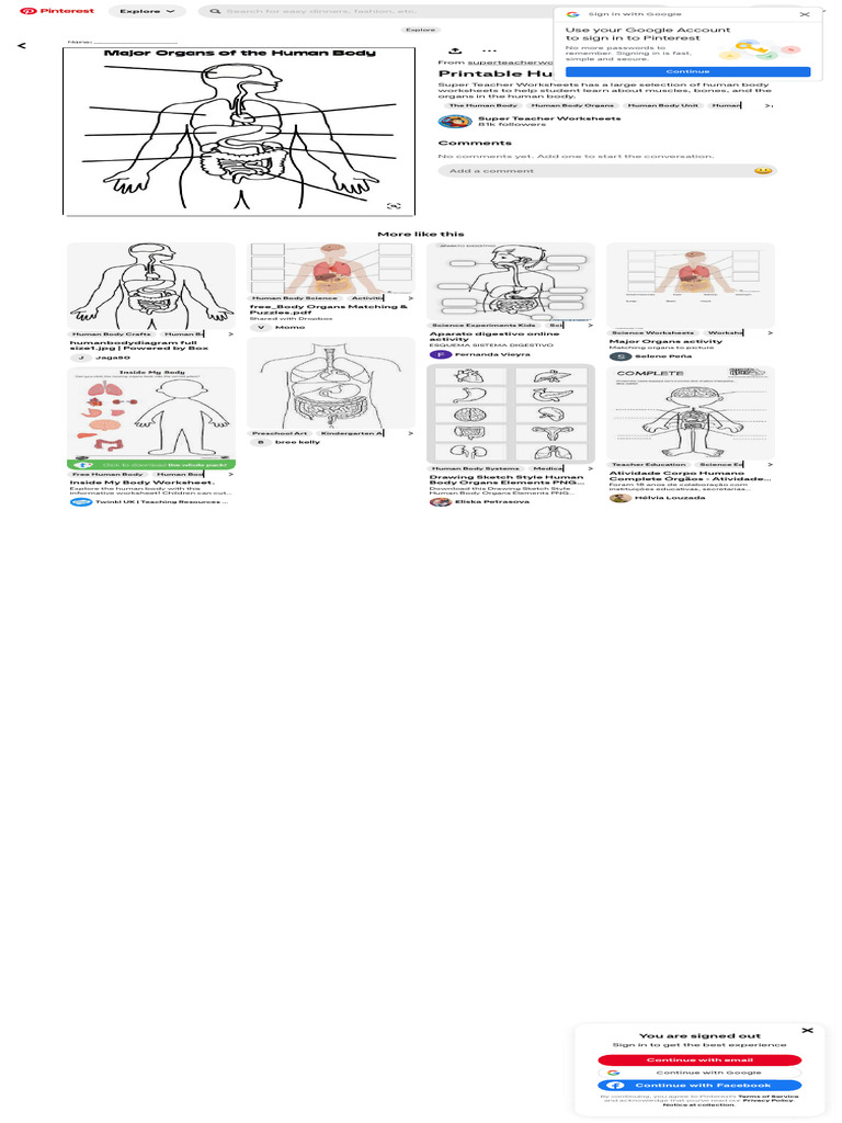 Printable Human Body Worksheet Human Body Diagram, Human Body Organs ...