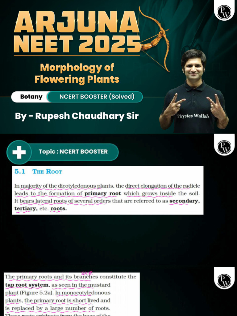 Lec NCERT Booster Solved Morphology of Flowering Plants Botany | PDF Lec NCERT Booster Solved Morphology of Flowering Plants Botany | PDF