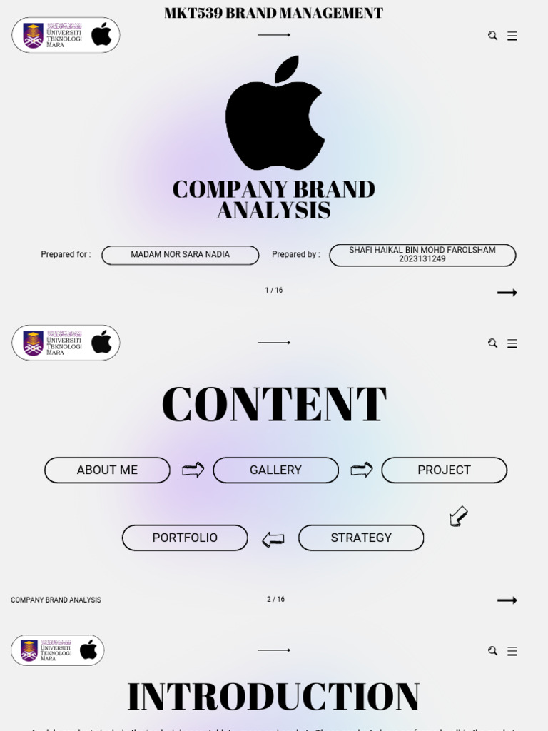 Individual Assignment - Company Brand Analysis | PDF | Brand | Apple Inc.