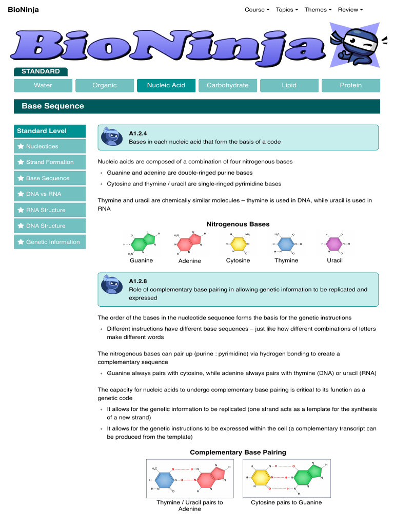 Base Sequence | PDF | Nucleic Acid Sequence | Base Pair