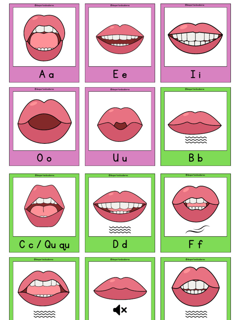 Cards Articulatorios | PDF