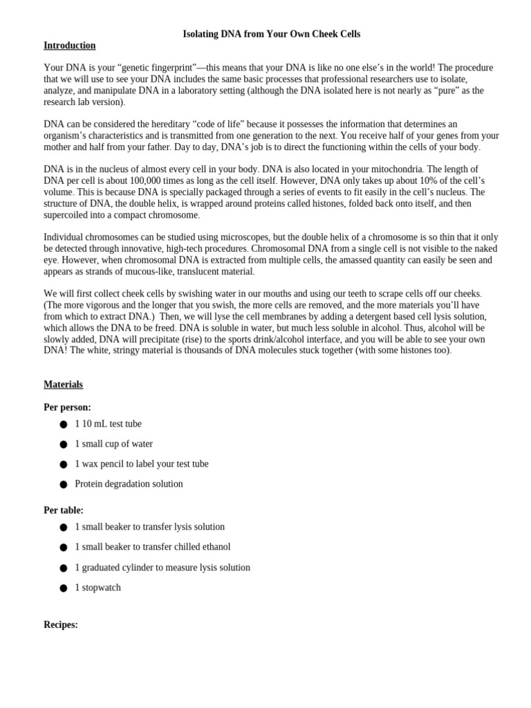 DNA Cheek Cell Lab | PDF | Dna | Chromosome