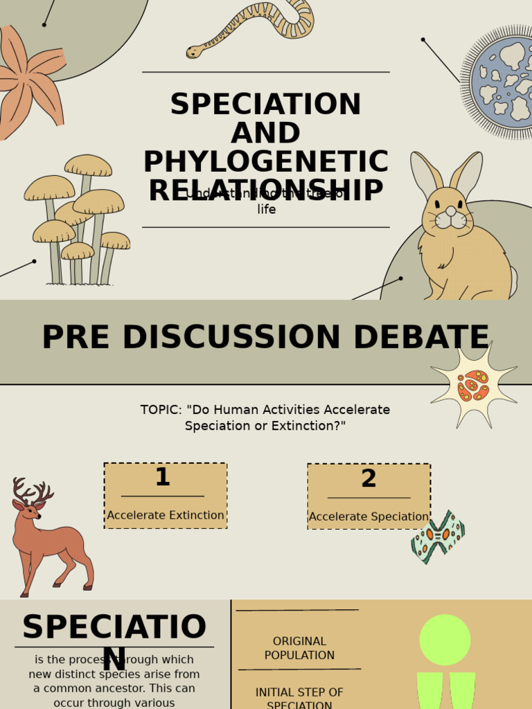Speciation and Phylogenetic Relation Ship | PDF | Evolution | Species