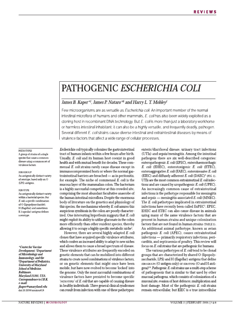 Pathogenic Escherichia Coli | PDF