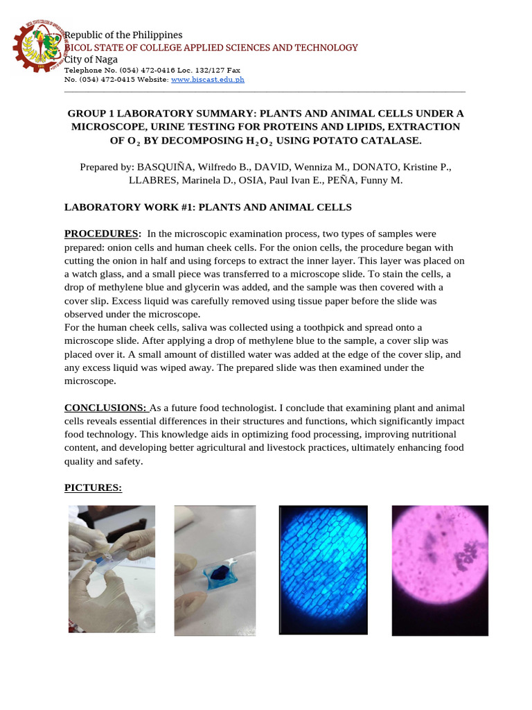 Group 1 Laboratory Summary | PDF