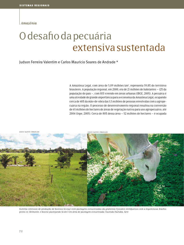 O Desafio Da Pecuária Extensiva Sustentada Autor Judson Ferreira ...