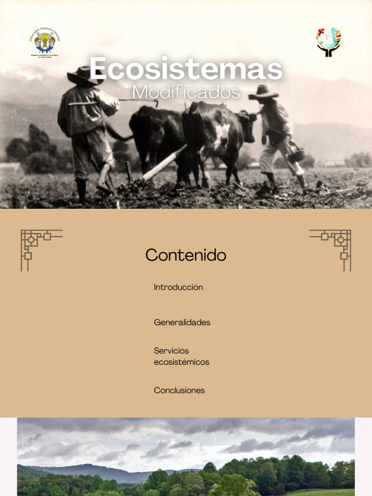 Ecosistemas Modificados - Presentación | PDF | Agricultura | Gases de efecto invernadero