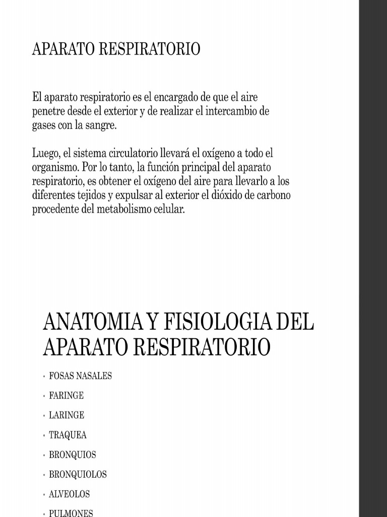 Sistema Respiratorio Completo Con Patologias | PDF