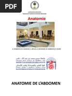 Anatomie de l'Aine et Canal Inguinal | PDF | Péritoine | Vaisseau sanguin