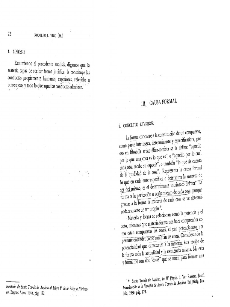 Causa Formal (Rodolfo Vigo) | PDF