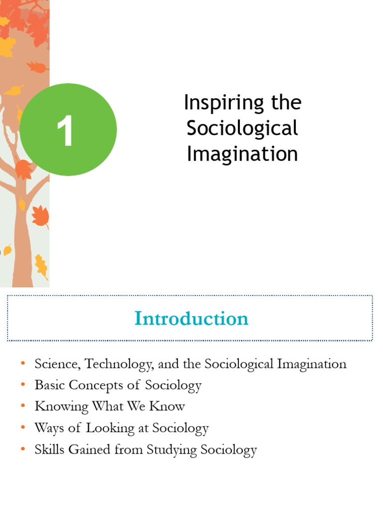 Chapter1 PPT-1 | PDF | Sociology | Society