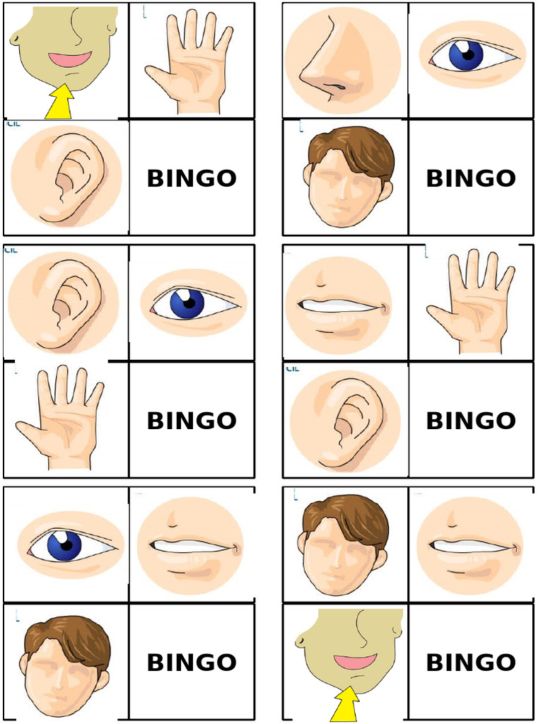 Body Parts Bingo | PDF