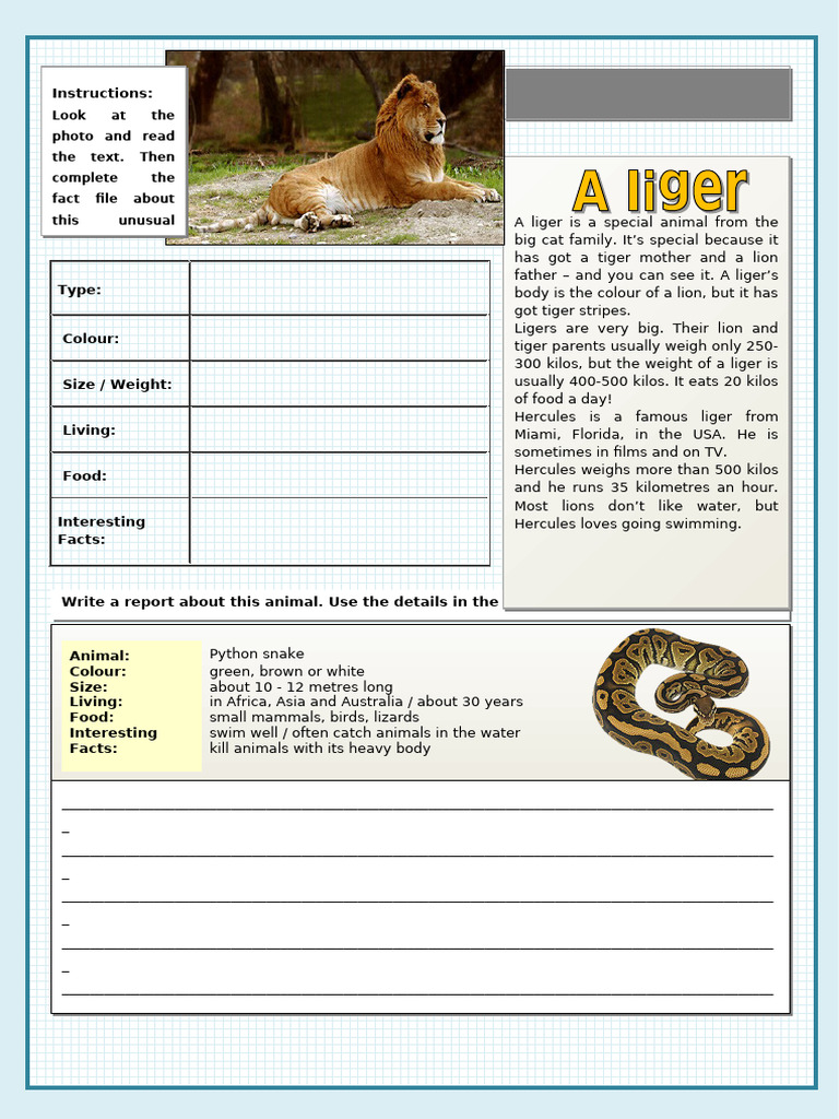 Writing Describing Animals Information Gap Activities Tests Writing ...