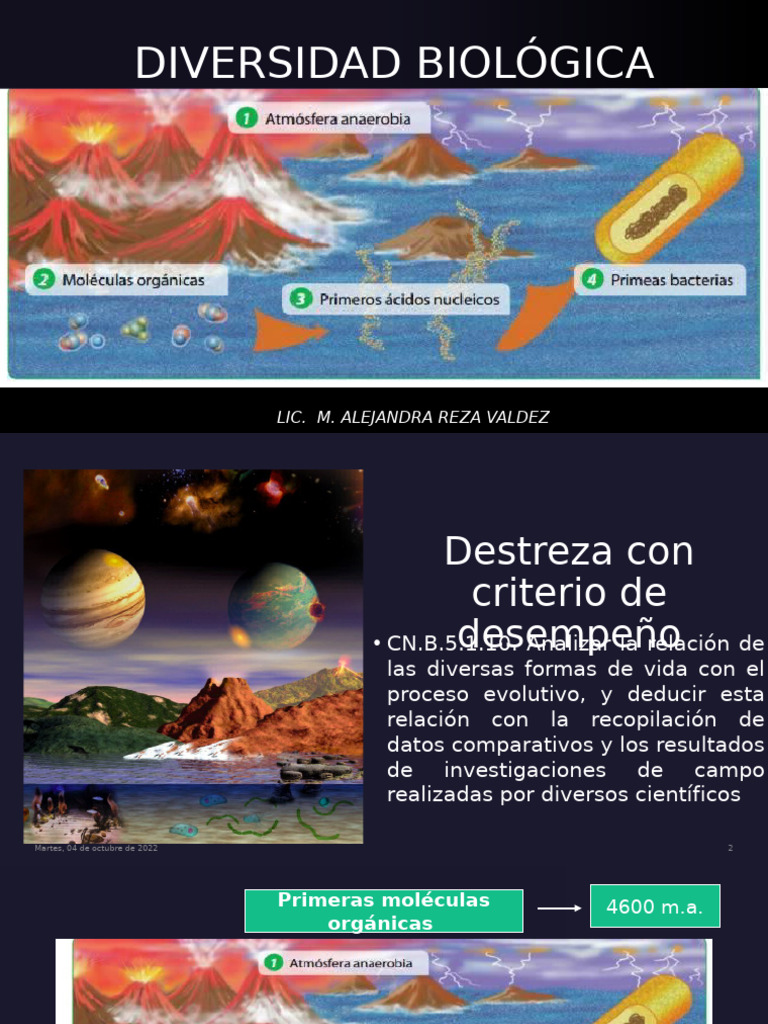 1.diversidad Biológica y Su Relación Con El Proceso Evolutivo | PDF ...
