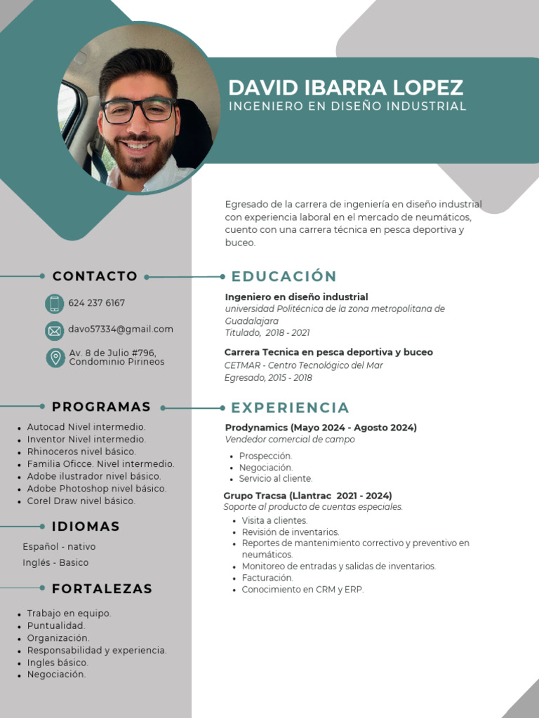 CV David Ibarra 2 | PDF