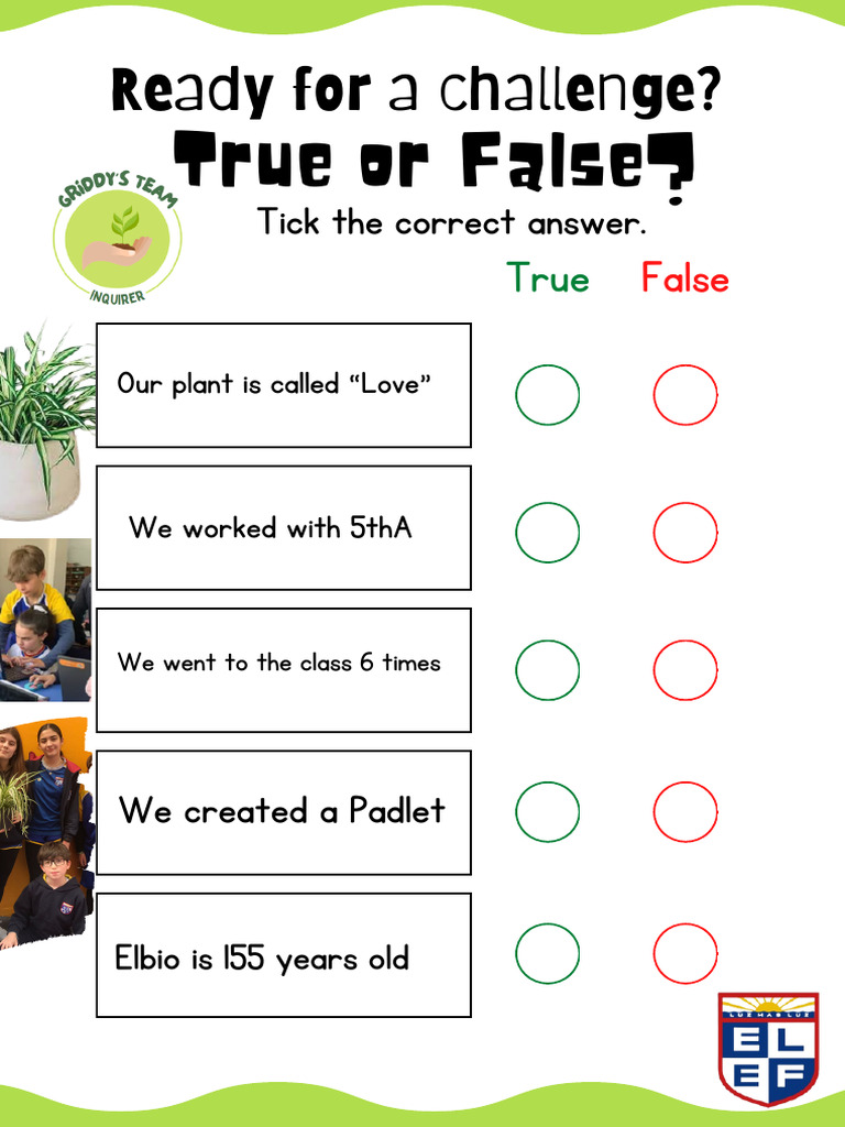 True or False Simple Sentence Worksheet | PDF