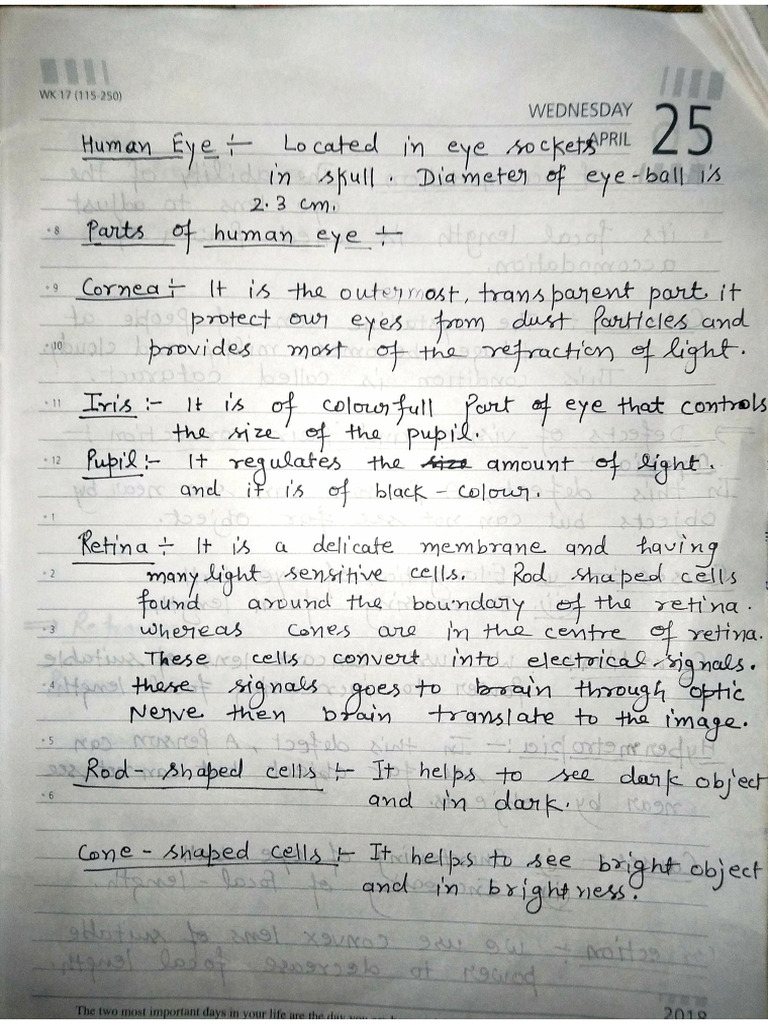 Human Eye Class 10 | PDF
