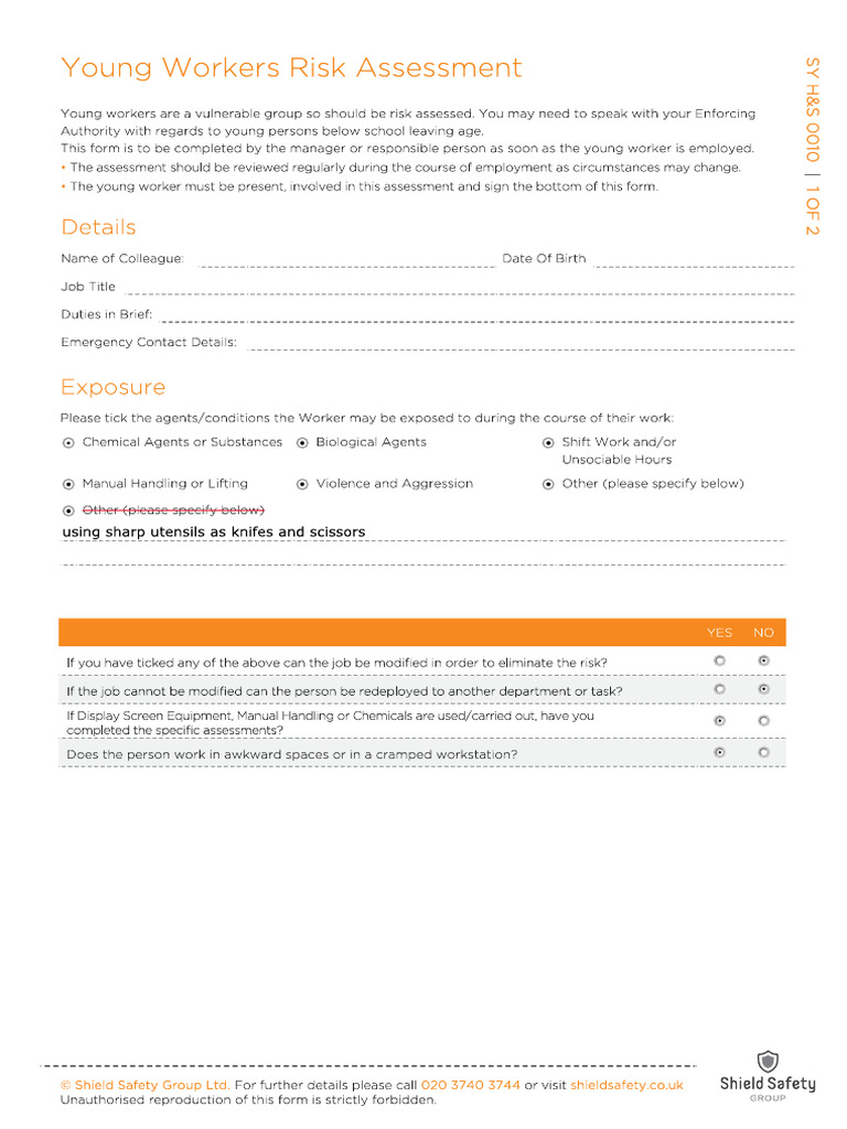 Young Worker Assessment | PDF