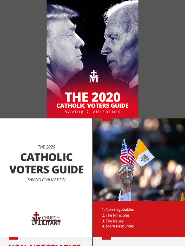 Voting Guidelines | PDF