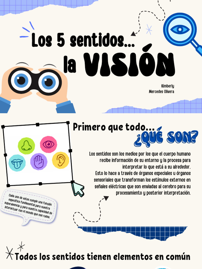 La Visión (5 Sentidos) | PDF | Ojo humano | Percepción visual