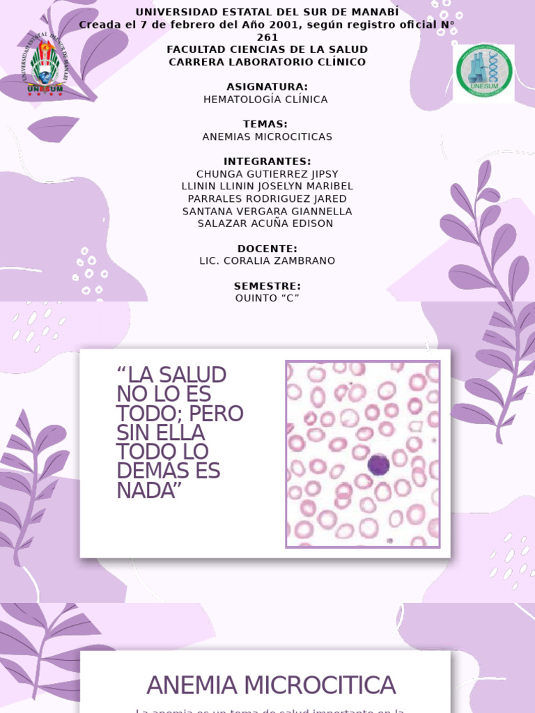 Anemia Microcitica 5c | PDF | Hierro | Anemia