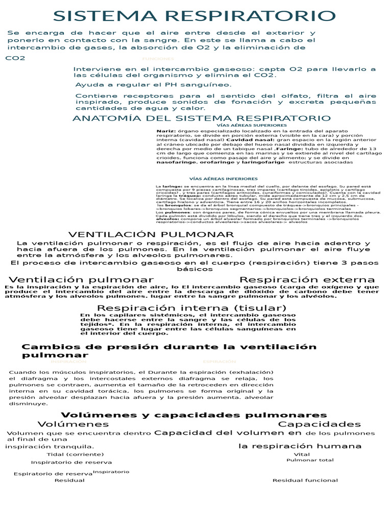 Respi | PDF | Pulmón | Sistema respiratorio