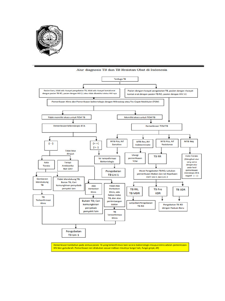 Alur Diagnosis TB Dewasa Dan TB Anak | PDF
