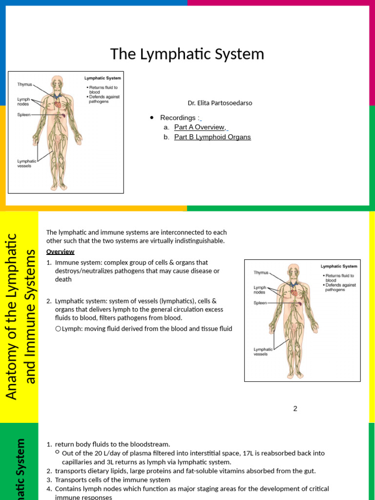 7 The Lymphatic System | PDF | Lymph | Lymphatic System