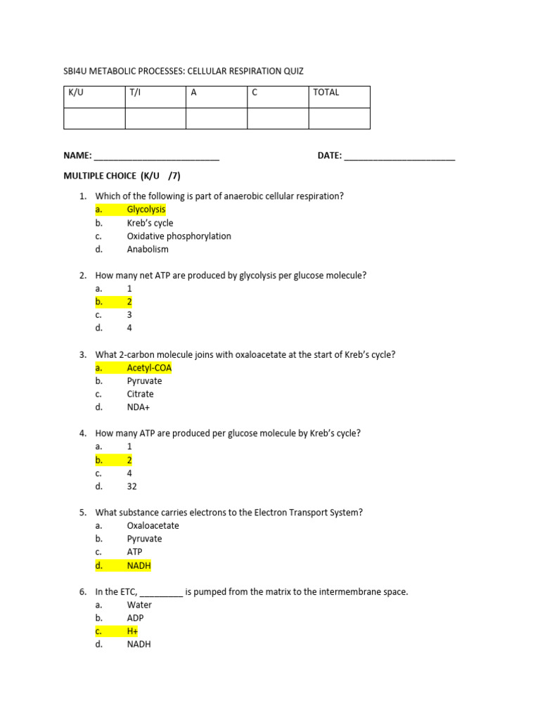 Aug 9 Sbi4u Answers Quiz 4 | PDF | Cellular Respiration | Adenosine ...