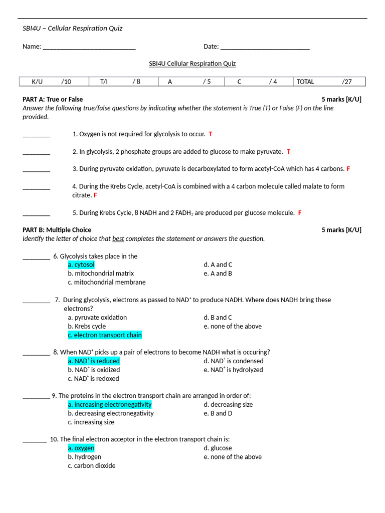 Cellular Respiration Quiz | PDF | Cellular Respiration | Diet & Nutrition