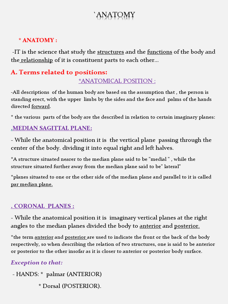 'Anatomy: A. Terms Related To Positions | PDF | Anatomical Terms Of ...