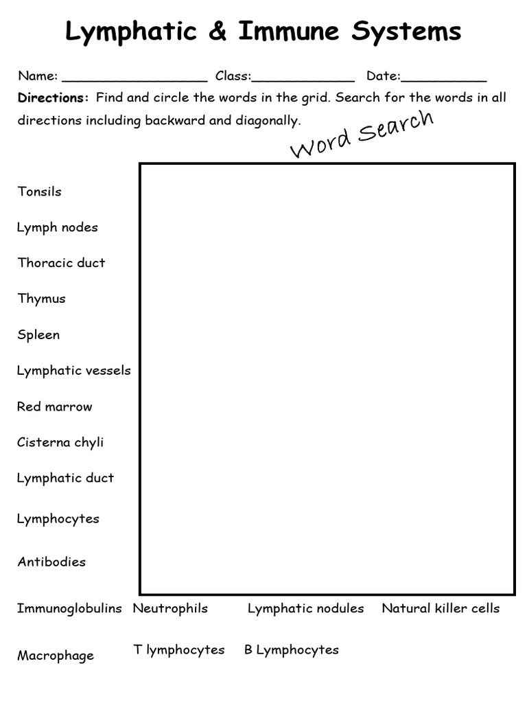 2 - Lymphatic and Immune Systems Word Search Puzzle | PDF | Lymphatic ...
