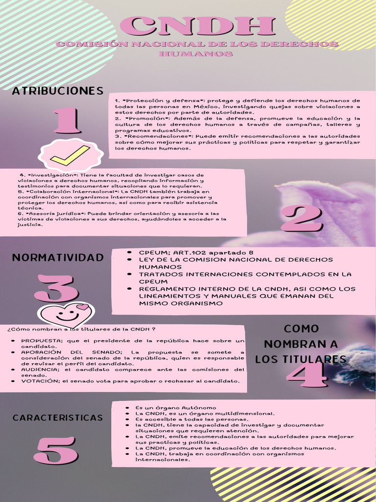 Infografia CNDH | PDF | Etica social | Derechos humanos
