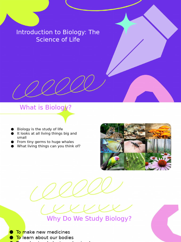 Presentation - 4th Grade | PDF