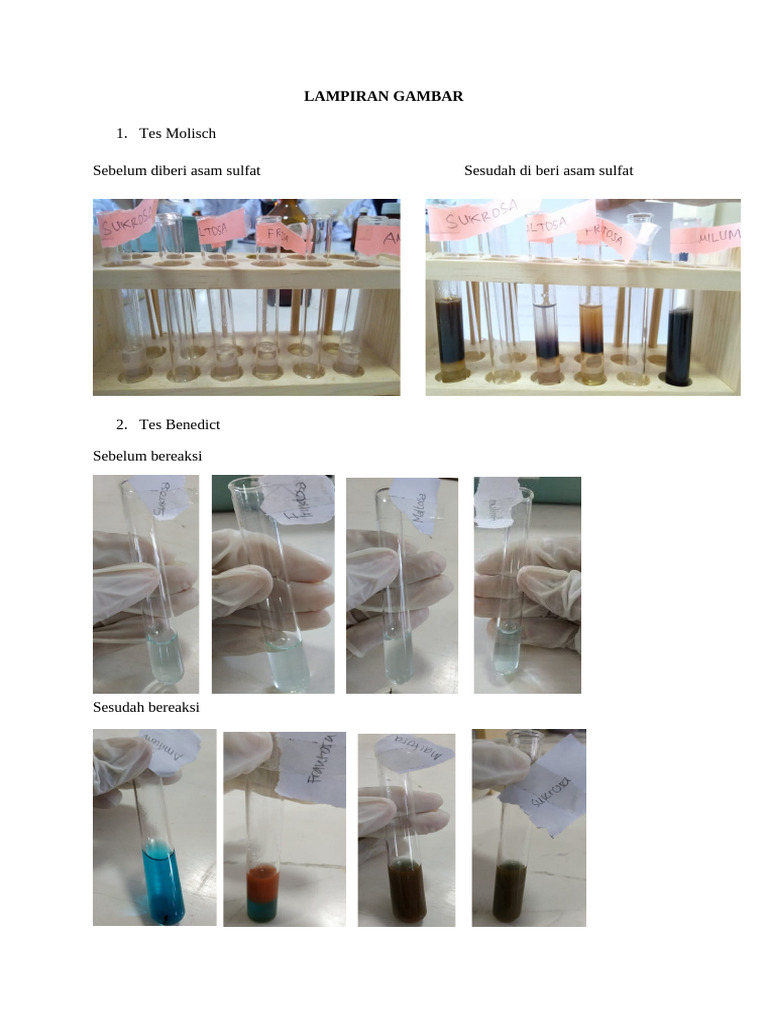 Lampiran Gambar Biokim | PDF