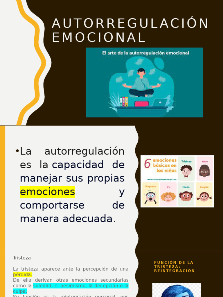 Estrategias de Autorregulación Emocional | PDF | Las emociones | Ira